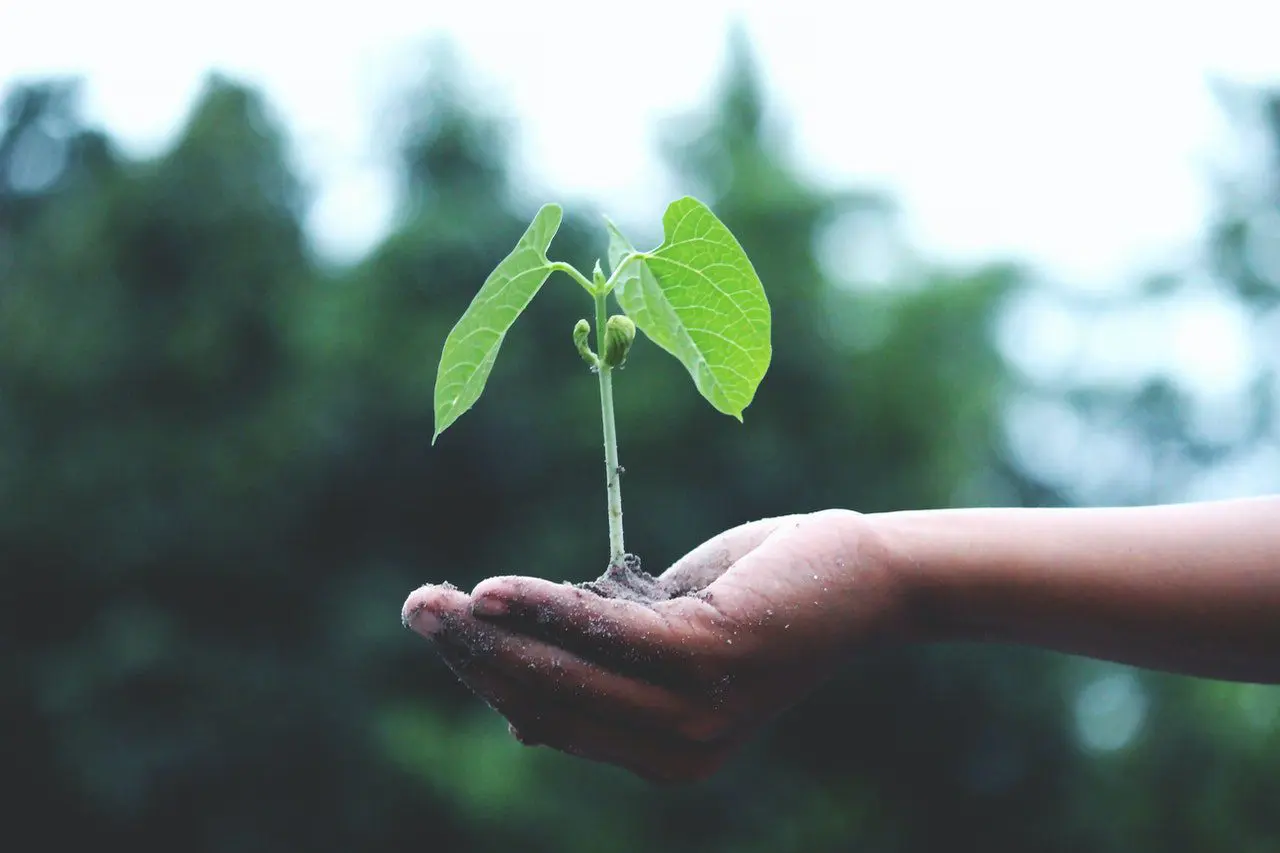 Net zero transition: the true costs for business industry and ...